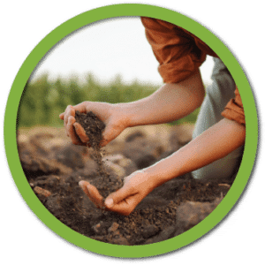 Digging Deep Into Soil - MN Ag Mag