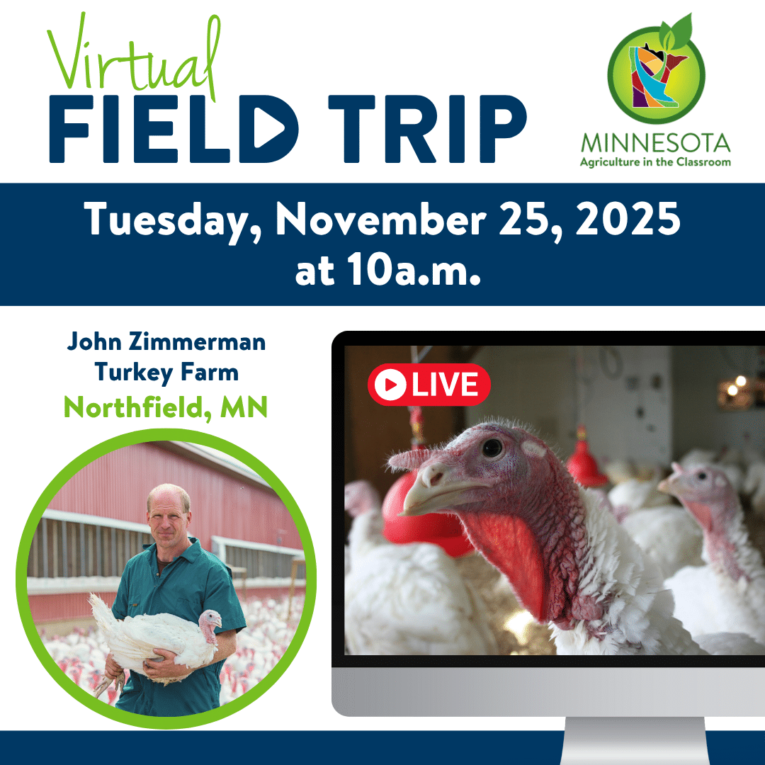 Virtual Field Trip to a Turkey Farm